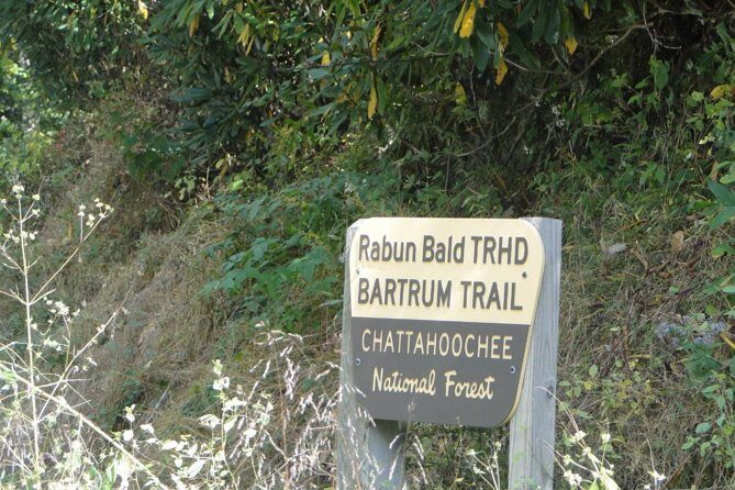 Bartram Trail Hike plus Wine Tasting - Final Thoughts