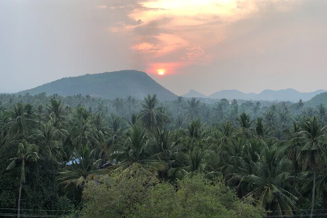 Battambang Private afternoon tour bamboo train bat cave & village - What’s Included and What’s Not