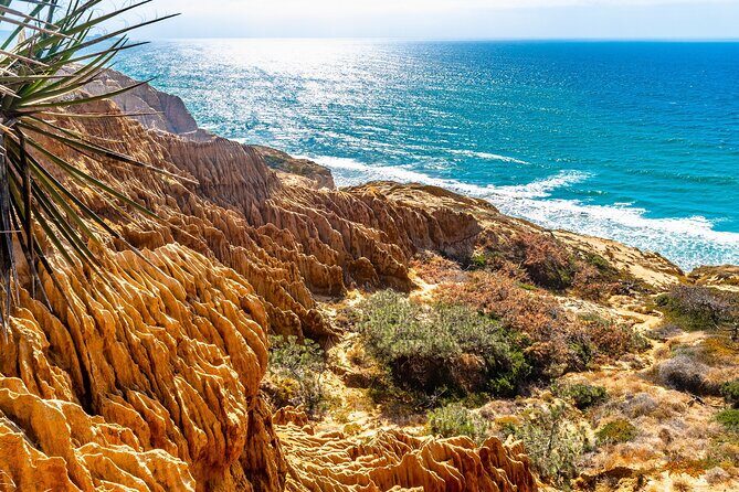 Beaches & Bluffs San Diego's Ultimate Coastal Driving Tour - Who Will Love This Experience?