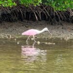 Beginner One Hour Guided Kayaking and SUP Activity - A Closer Look at the Experience