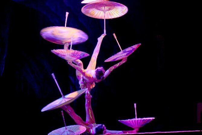 Beijing Evening Acrobatic Show with Hotel Transfer - What You Can Expect from the Experience