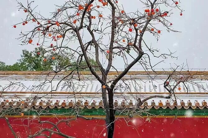 Beijing Forbidden City and Temple Heaven Private Guide Tour - The Sum Up
