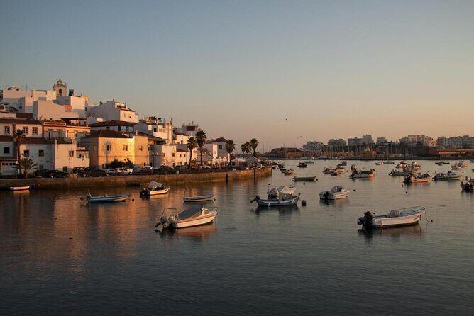 Benagil Cave and Marinha Beach Boat Tour from Portimao - Who Will Love This Tour