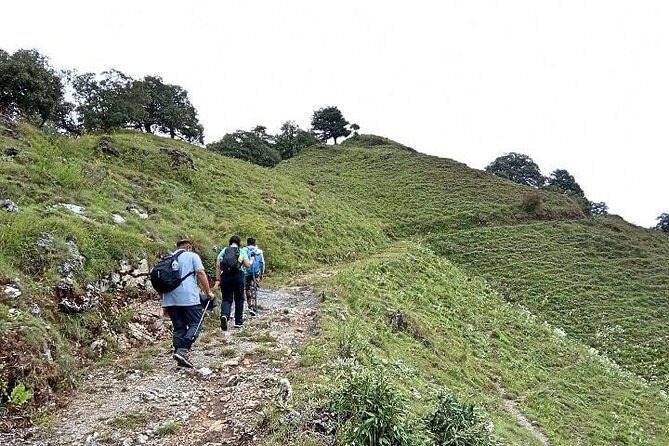 Benog Tibba Nature Trail - FAQs About the Benog Tibba Nature Trail
