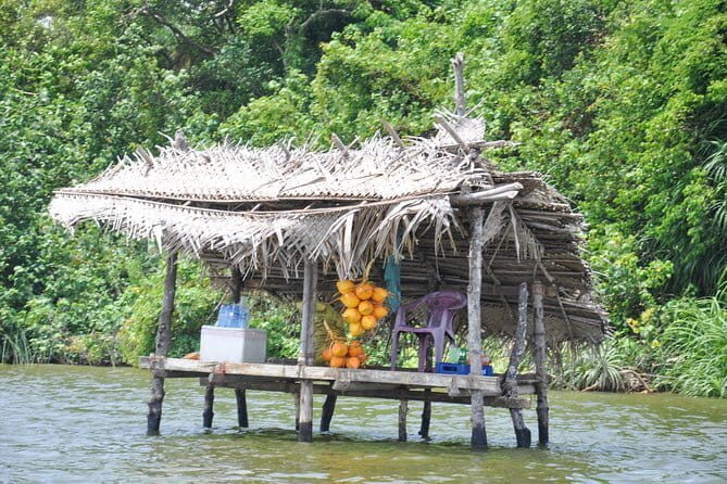 Bentota City Tour and Galle from Bentota - An In-Depth Look at the Day