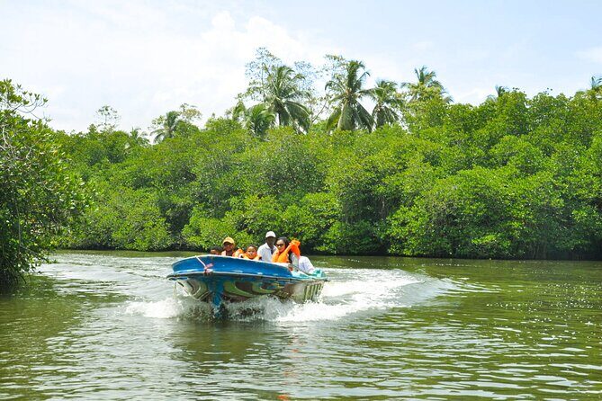 Bentota City Tour from Dikwella - Who Should Consider This Tour?