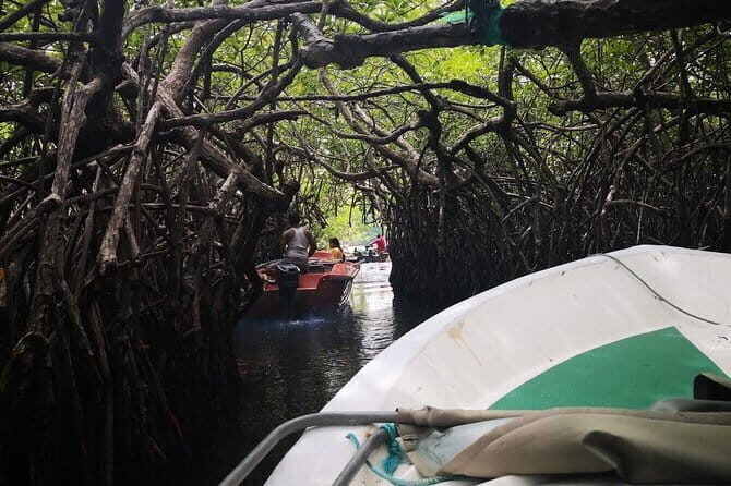 Bentota City Tour from Hikkaduwa - What Makes This Tour Stand Out