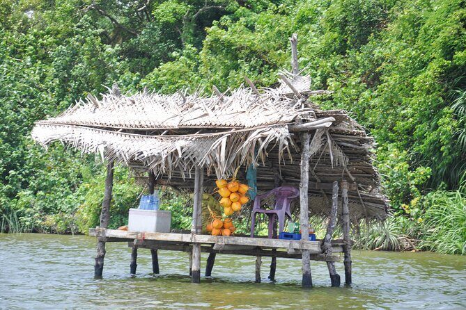 Bentota City Tour from Tangalle - Final Thoughts: Who Will Love This Tour?