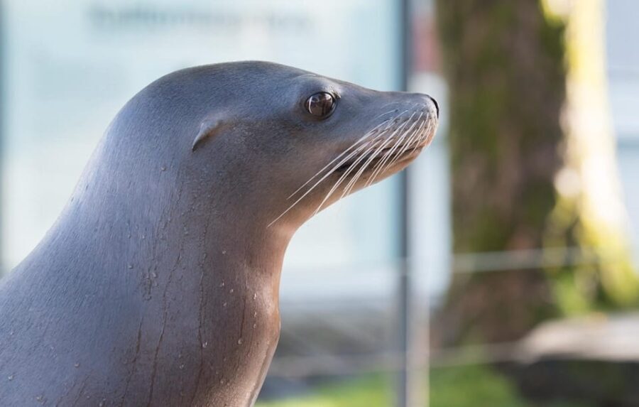 Bergen: Bergen Aquarium Entry Ticket - The Experience in Action