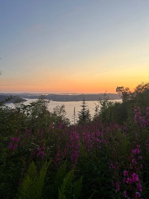 Bergen Magical Nature Tour | ViFlowExperience - The Itinerary in Detail: From Start to Finish