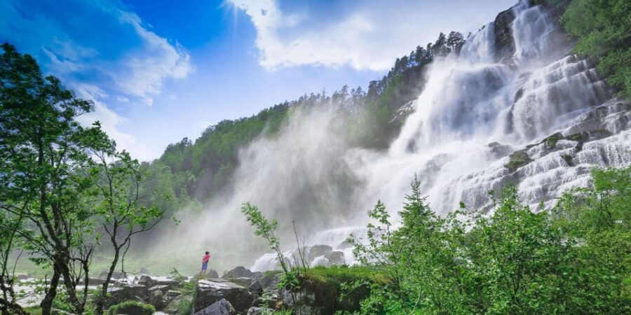 Bergen: Nærøyfjorden, Flåm, and Stegastein Guided Bus Tour - A Deep Dive into the Bergen: Nærøyfjorden, Flåm, and Stegastein Tour