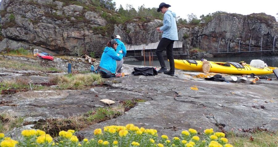 Bergen: Øygarden Islets Guided Kayaking Tour - Who Is This Tour Best Suited For?