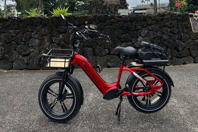 "Bespoke" Private E-Bike Tour Volcano and Waterfalls - What Travelers Love About This Tour