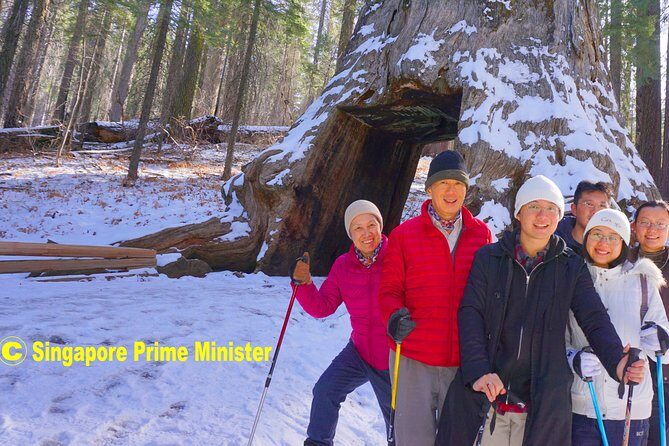 Best 1-Day Yosemite National Park Private Tour from San Francisco - Who Will Love This Tour?