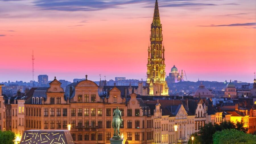 Best of Brussels: Private Walking Tour with a Local - Who Should Book This Tour?