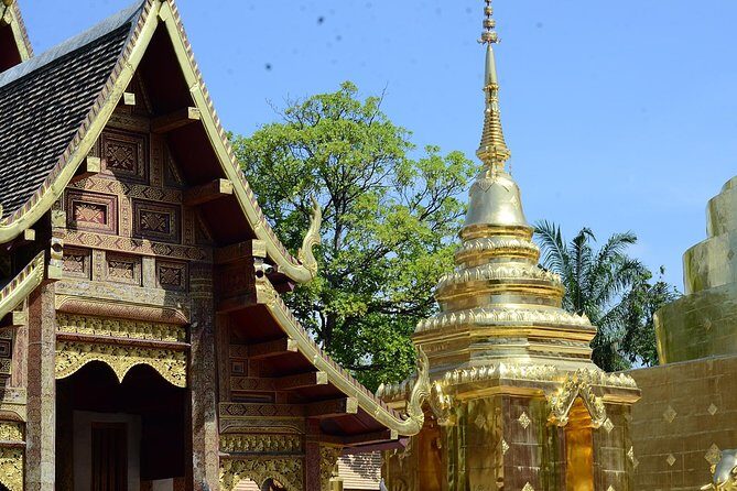 Best of Chiangmai day trip Temples and Sticky waterfall - Transportation and Guide