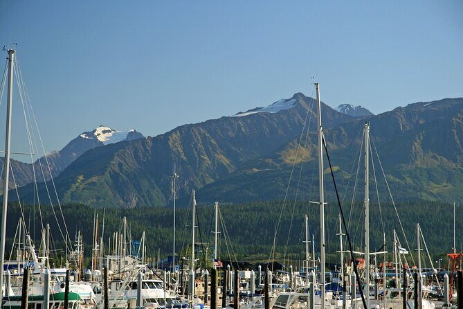 Best of Seward Alaska Full Day Tour - What Travelers Are Saying (Based on Available Feedback)