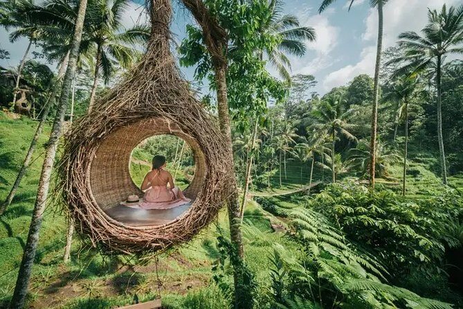 Best of Ubud: Private All-Inclusive Tour with Jungle Swing - Beyond the Main Stops: Additional Highlights and Optional Visits