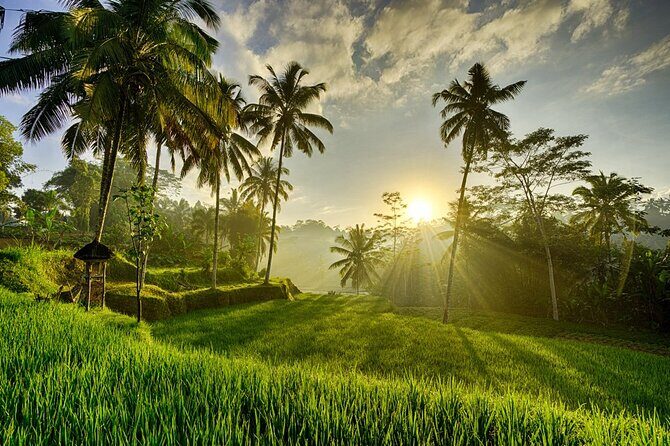 Best of Ubud with Tanah Lot Temple Private Tour - Transportation, Timing, and Overall Value