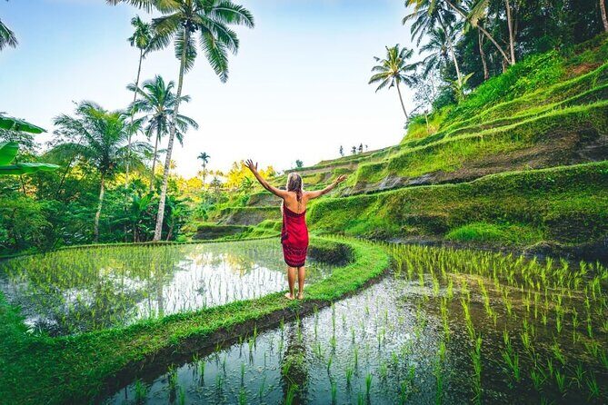 Best Ubud Jungle Swing Experience - All Inclusive Tour - What Could Be Better?