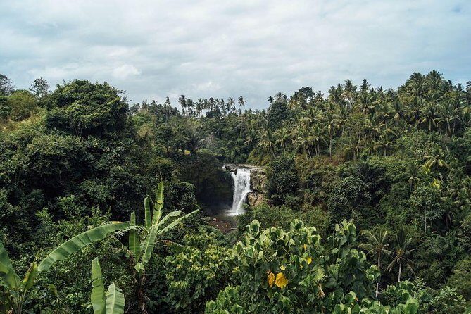 Best Waterfalls of Ubud - Logistics and Practical Insights