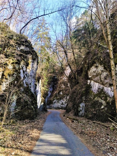 Beyond Brno: Best of Czech Caves - Full-Day Hiking Tour - A Deep Dive into the Tour Experience