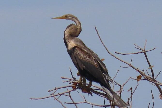Beyond The Oudong Temple and Birdwatching in Phnom Penh - Why This Tour Offers Great Value