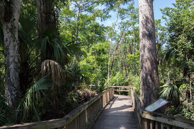 Big Cypress National Preserve Self Guided Driving Audio Tour - Practical Considerations for Your Visit