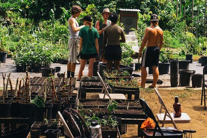 Big Island Farms Tour in Hawaii - Practical Tips for Visitors