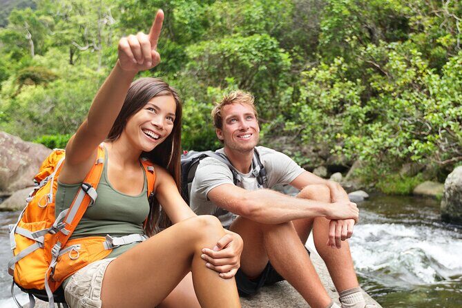 Big Island Waterfall Swim and Hike with Hilo Cruise Ship Pickup - What Sets This Tour Apart: The Waterfalls