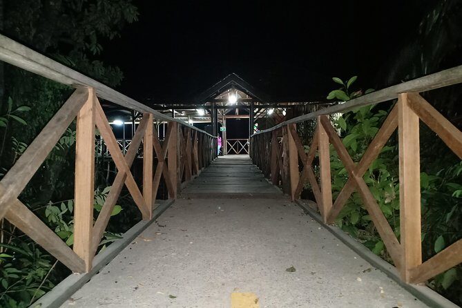 Bintan Fireflies Discovery Tour - The Value of This Experience
