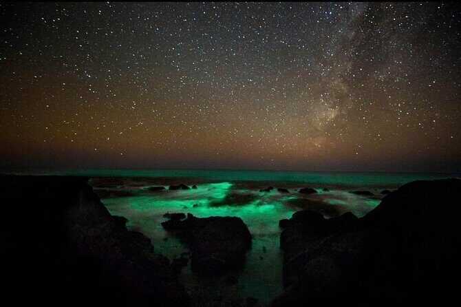 Bioluminescence and Sunset Kayak Tour in the San Juan Islands - Practical Details and Tips