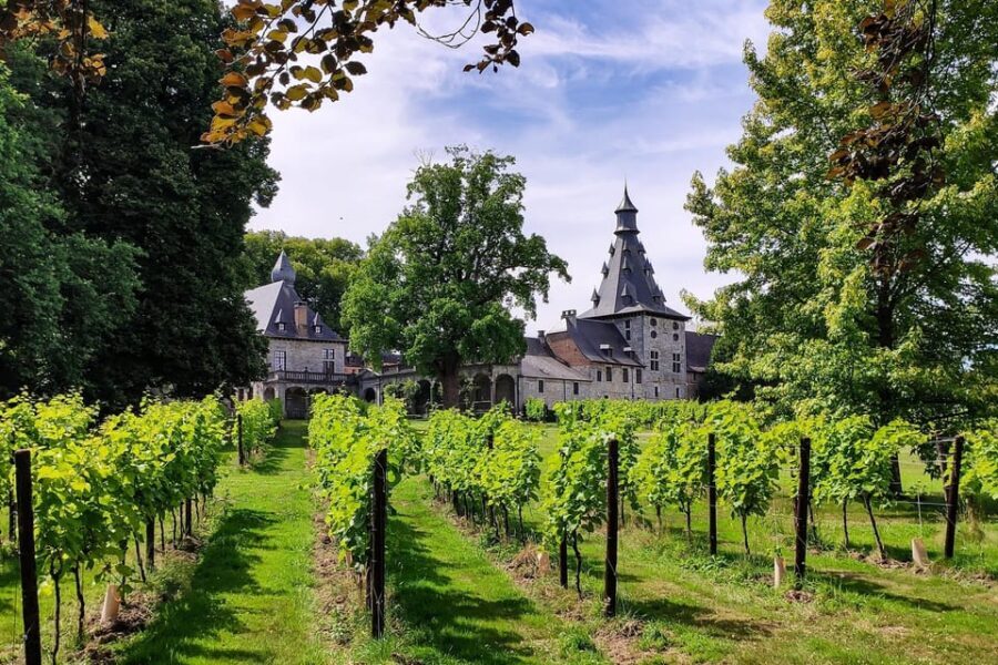 Bioul (near Dinant) : Château de Bioul Tour and Wine Tasting - What the Tour Includes