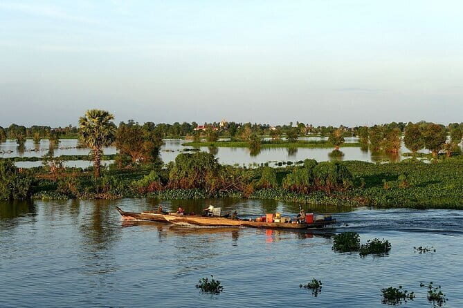 Bird Watching at Tonle Saps Inundated Forest - Final Thoughts: Is This Tour Worth It?