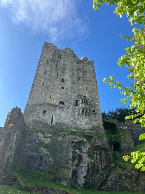 Blarney Castle and Cork City:Private taxi tour . - What Makes This Tour Stand Out?