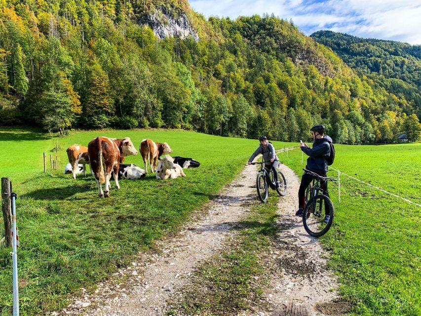 Bled: EBike Tour Lake Bled & Triglav National Park Private - Detailed Itinerary Breakdown