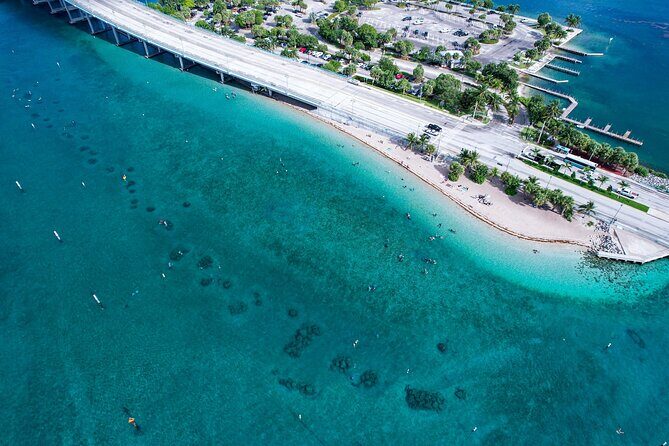 Blue Heron Bridge Guided Snorkel Tour - Who Will Love This Tour?