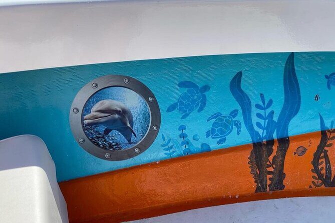 Boat Tour Experience Sea Life Up Close - What to Expect During the Tour