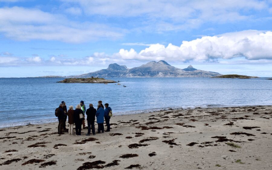 Bodø: Arctic Coastal Walk - Exploring Bodø’s Arctic Coast: What This Tour Offers