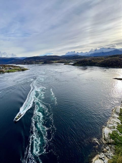 Bodø: Saltstraumen RIB Safari - What to Expect on the Saltstraumen RIB Safari