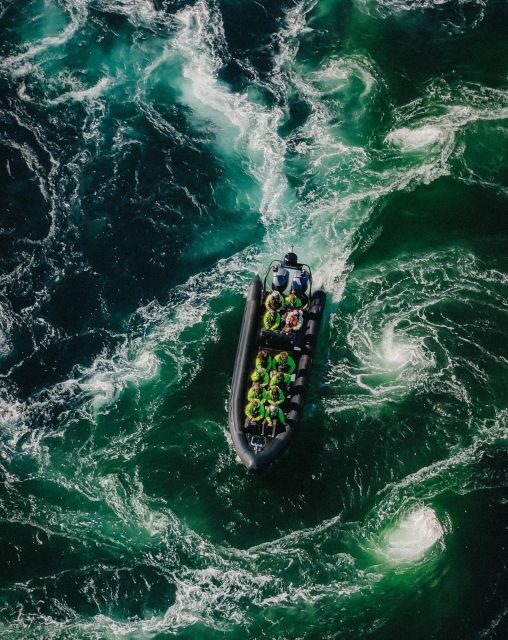 Bodø: Saltstraumen Sea Eagle Trip by RIB - The Bottom Line