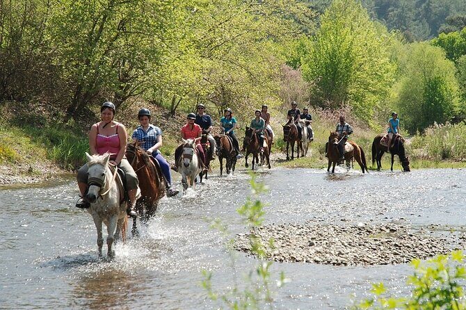 Bodrum Horse Riding Experience w/ Hotel Transfer Service - What Does the Itinerary Look Like?
