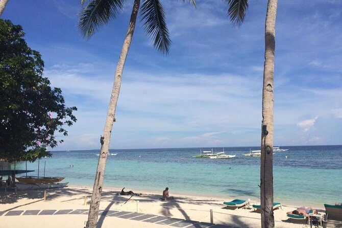 Bohol's Panglao Island Half Day Land & Half Day Island Hopping (Cebu or Bohol) - Who Will Love This Tour?