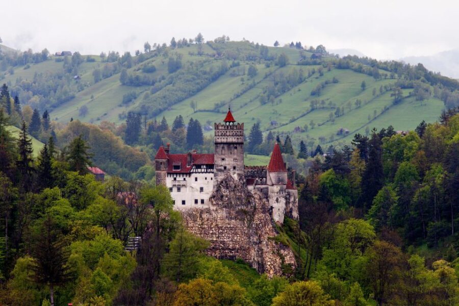 Bran: Guided Castle Tour - Value and Practical Insights