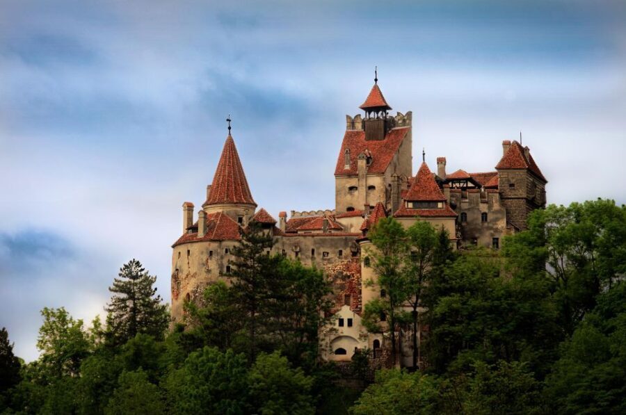 Brasov: Bear Sanctuary, Dracula Castle, and Rânov Fortress - Starting the Day: Hotel Pickup and Group Setting