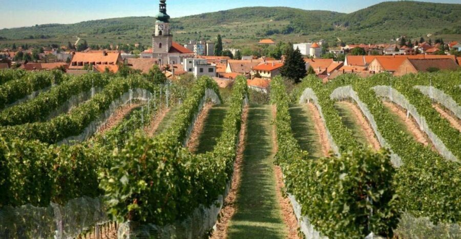 Bratislava: 6,5-Hour Carpathian Wine Tour and Tasting - Red Stone Castle: A Romantic Landmark