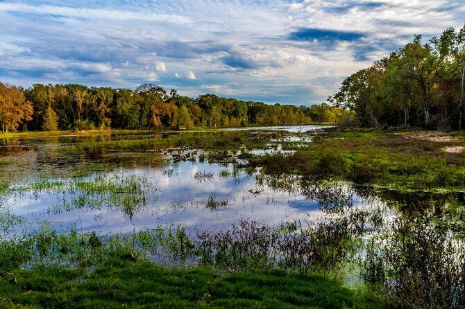 Brazos Bend Wildlife and Nature Tour - Exploring the Itinerary in Detail