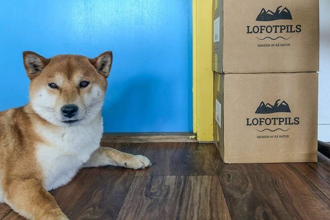 Brewery Tour - Exploring the Lofoten Craft Brewery