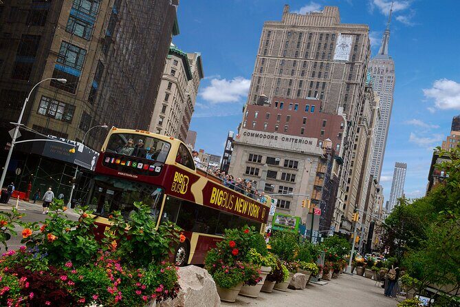 Brooklyn & DUMBO: Open-top Bus Tour and Guided Walking Tour - Authentic Experiences and Reviews