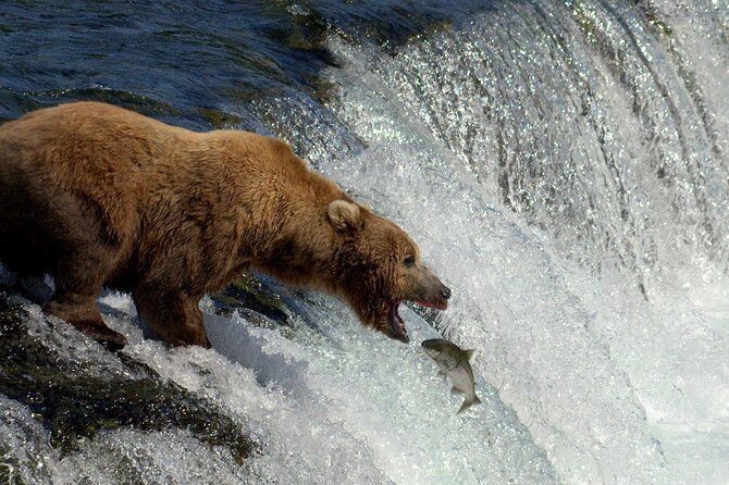 Brooks Falls Katmai Bear Viewing in a Float Plane - The Flight Experience: Scenic and Memorable